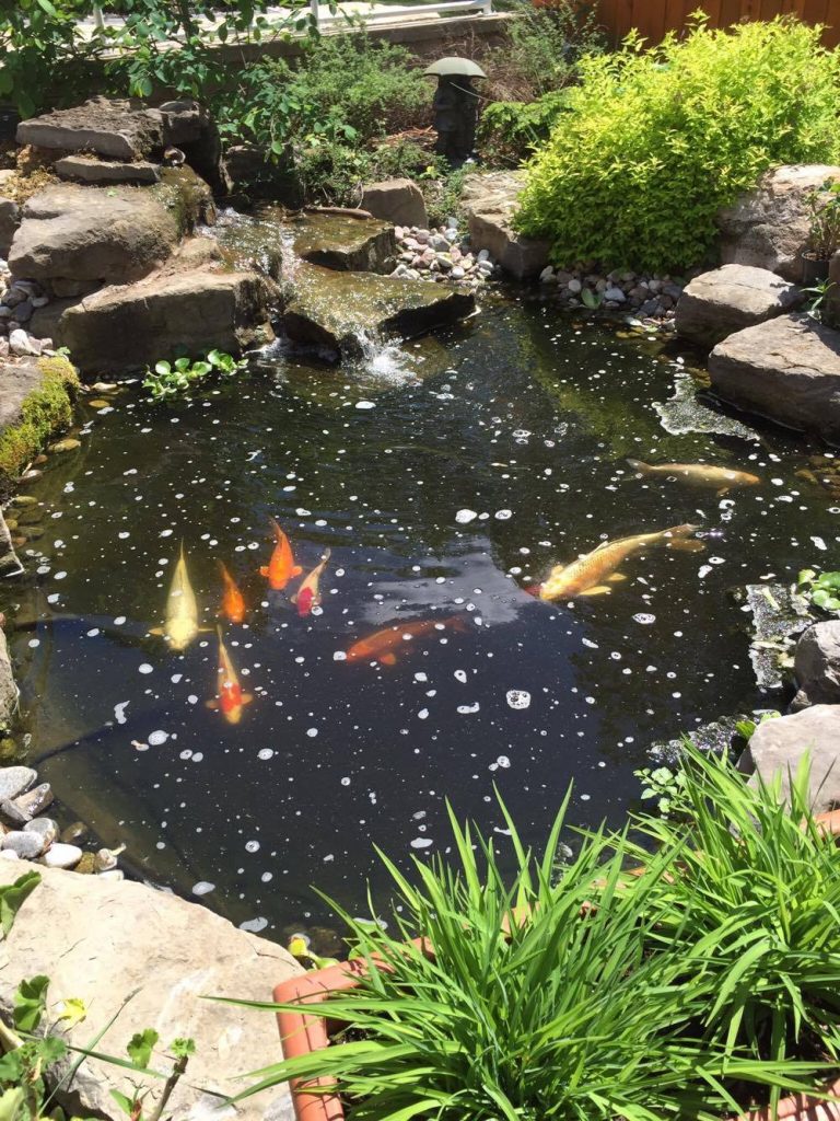 Private Prestige Residence Château Pierrefonds | Semi-Autonomous