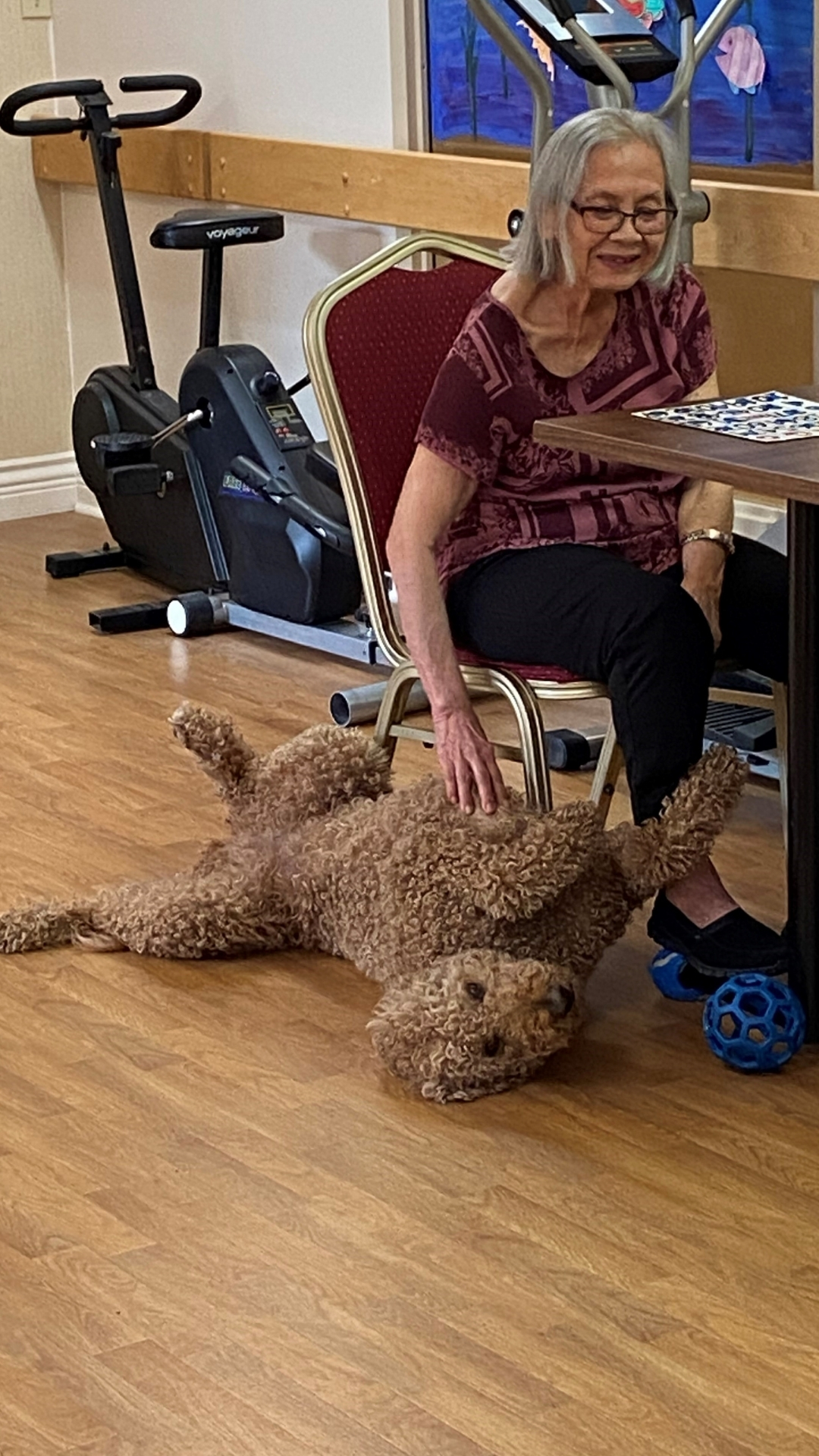 Private Prestige Residence Château Pierrefonds | Semi-Autonomous